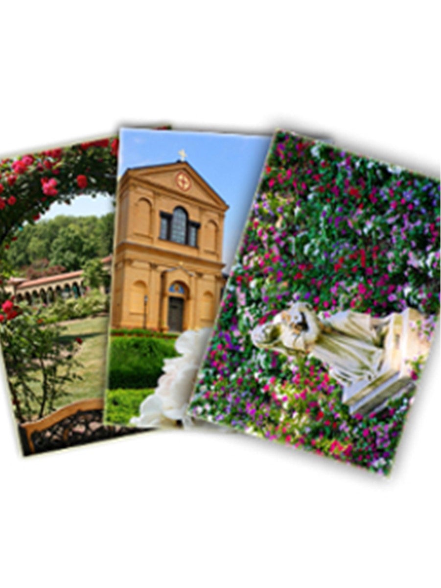 Franciscan Monastery Garden Greeting Cards | Franciscan Monastery of ...